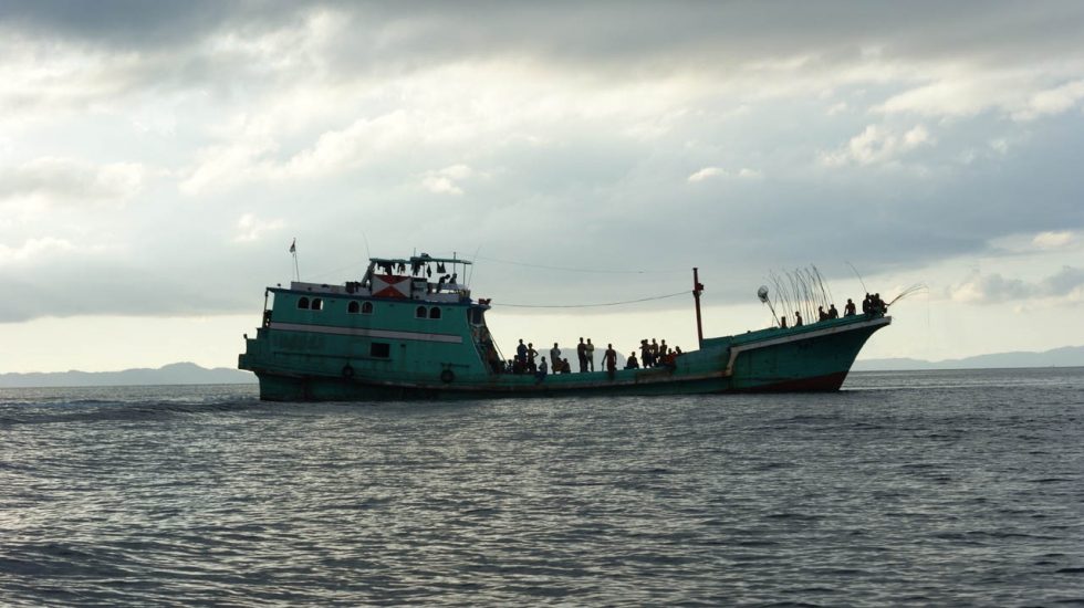 SUSTAINABILITY | Fresh Seafood, Seafood Imports, Fish Imports ...